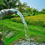 Indian govt encourages farmers to plant less water-intensive crops due ...