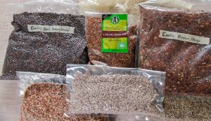 Conserving and increasing productivity and value of the heirloom rice ...