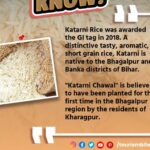 Rice on Twitter: Katarni rice - Rice Today
