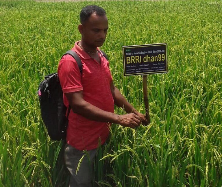 The farmers who till the harsh coastal lands of Bangladesh and the salt ...