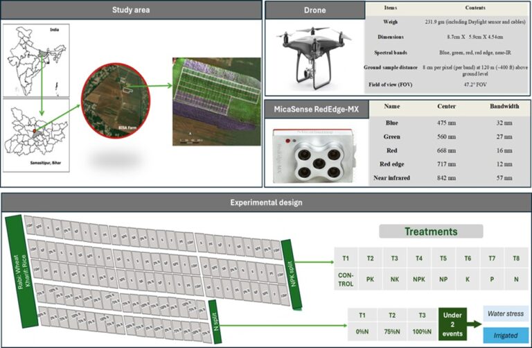 From Sky to Soil: How Drones are Revolutionizing Crop Monitoring – Rice ...