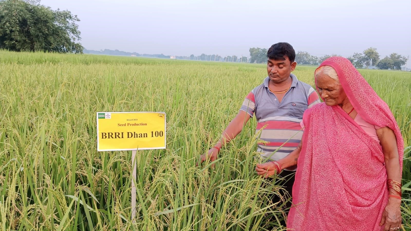 From Sky to Soil: How Drones are Revolutionizing Crop Monitoring – Rice ...