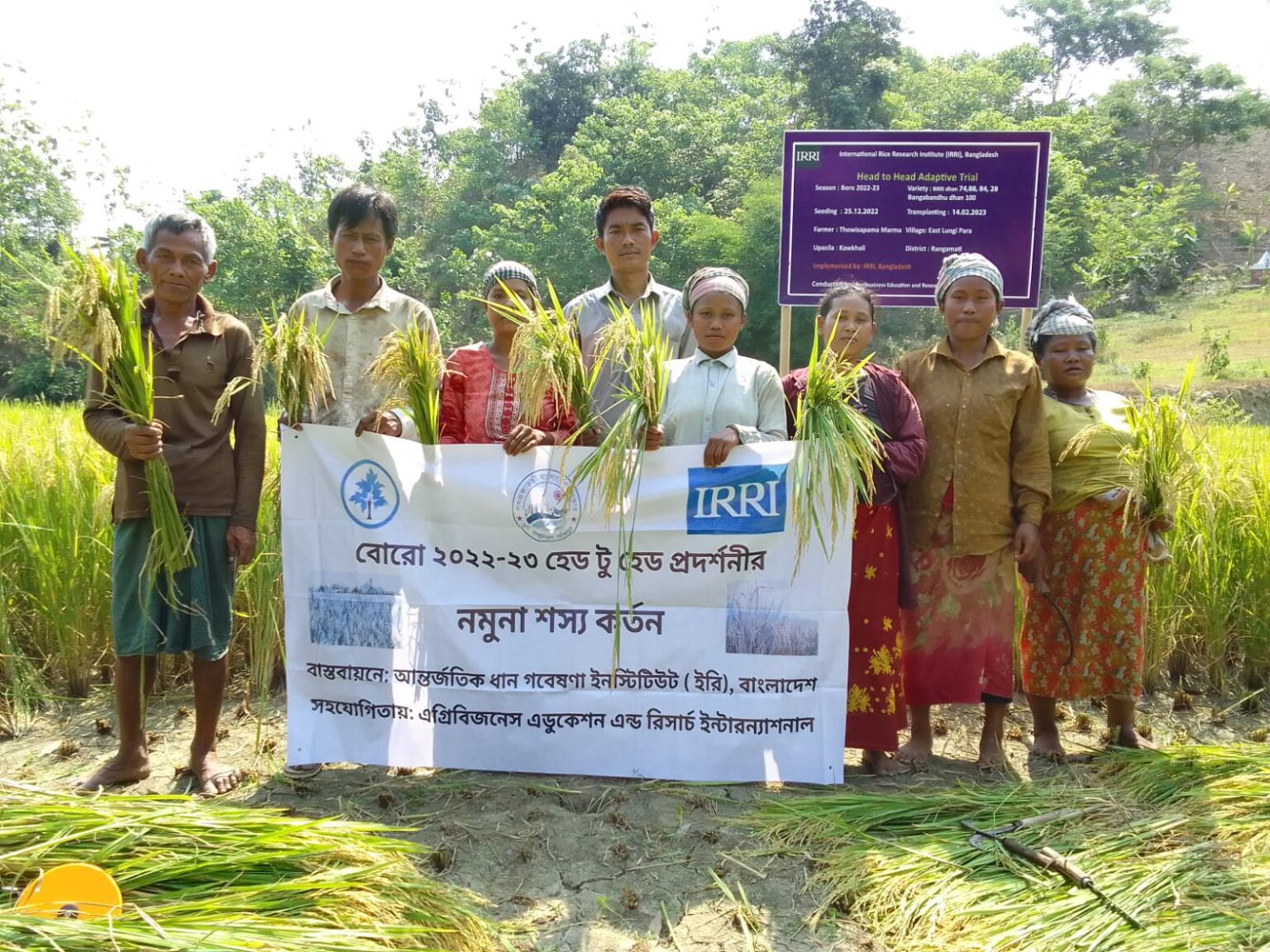 Transforming Rice Cultivation in the Hilly Regions of Bangladesh: A ...
