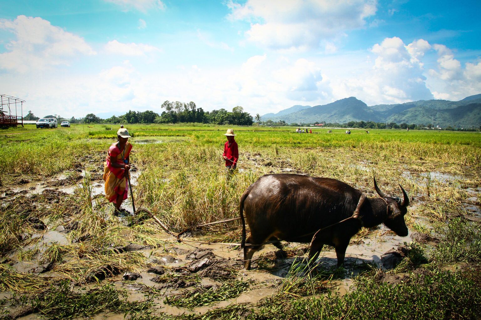 World Soil Day: New study reveals India’s massive organic wealth ...