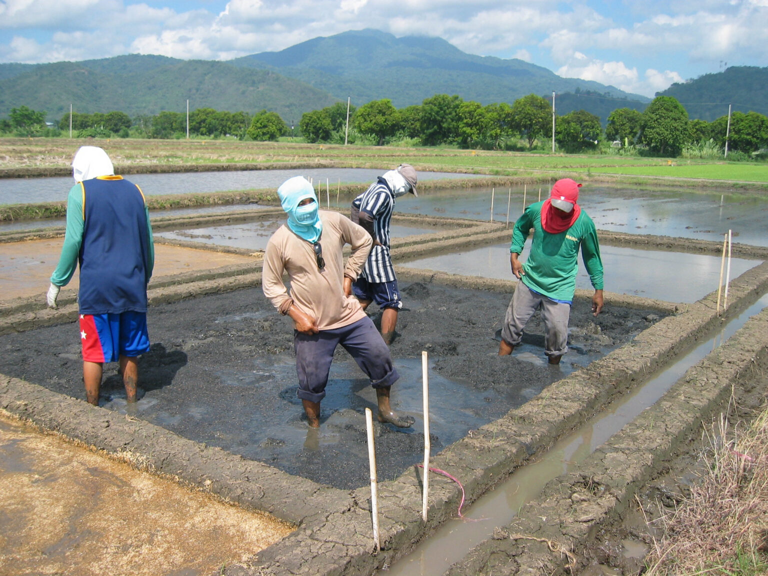 From Sky to Soil: How Drones are Revolutionizing Crop Monitoring – Rice ...