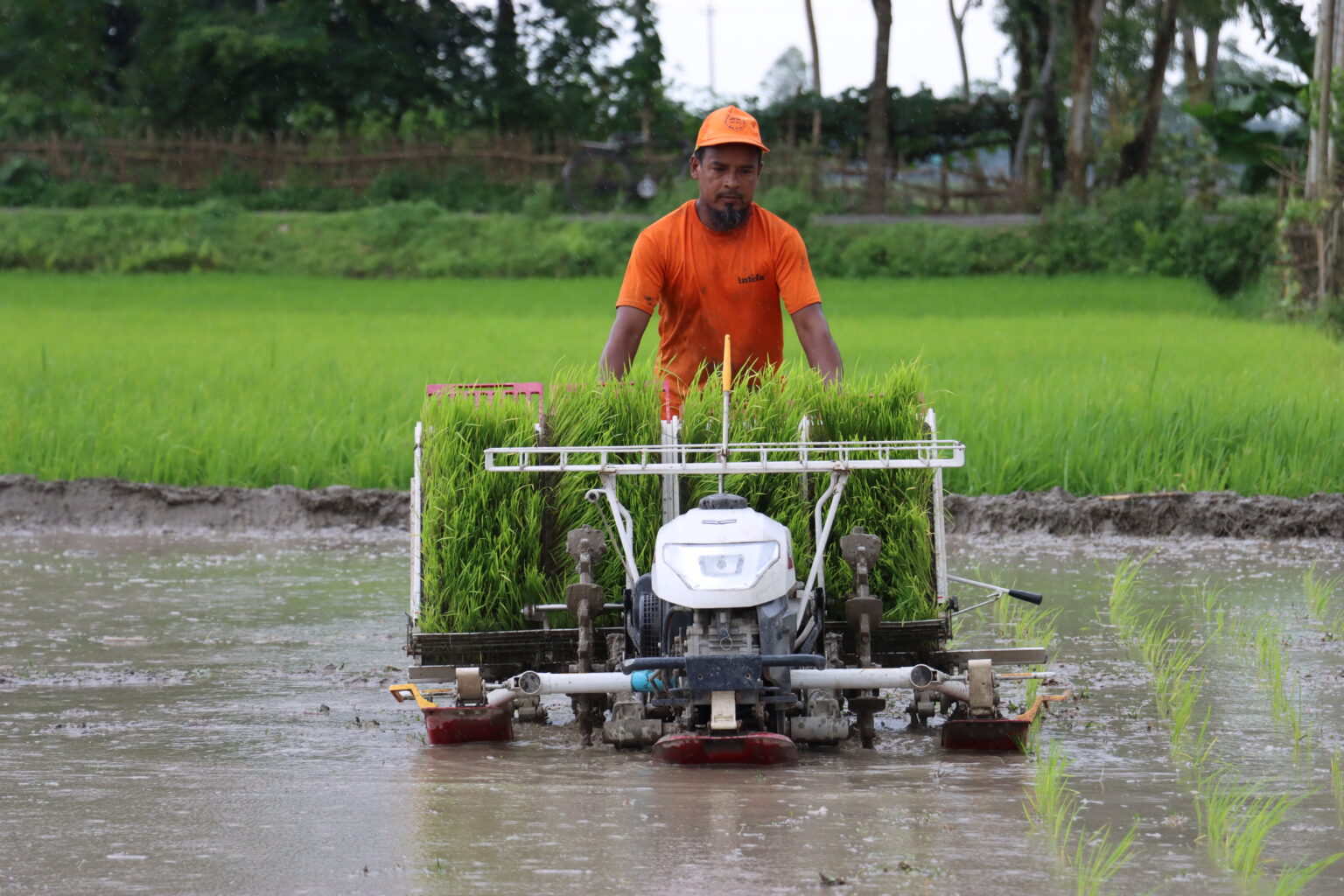 From Sky to Soil: How Drones are Revolutionizing Crop Monitoring – Rice ...